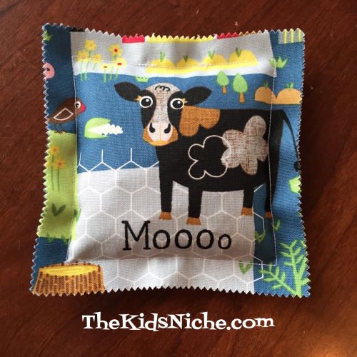 Making Easy Bean Bags – The Kids Niche
