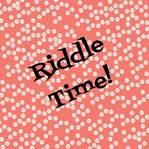 Friday Fun With Riddles – The Kids Niche