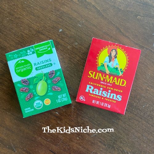 Taste Testing Tuesday #40 – Raisins – The Kids Niche