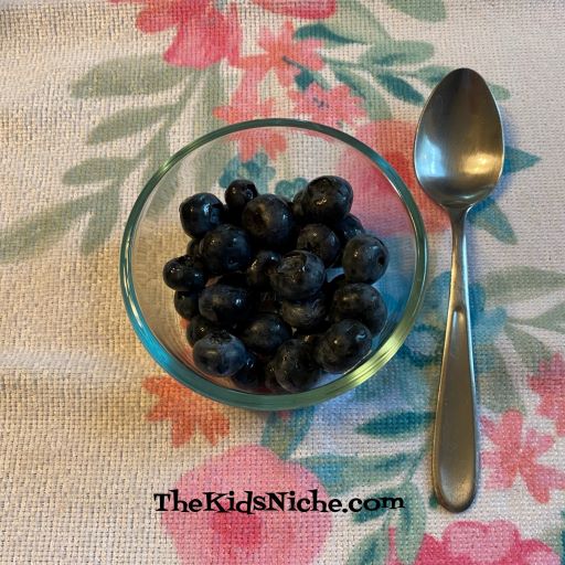 Taste Testing Tuesday #75 Blueberries – The Kids Niche
