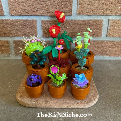 Amazing Lego Set That’s Educational too! – The Kids Niche